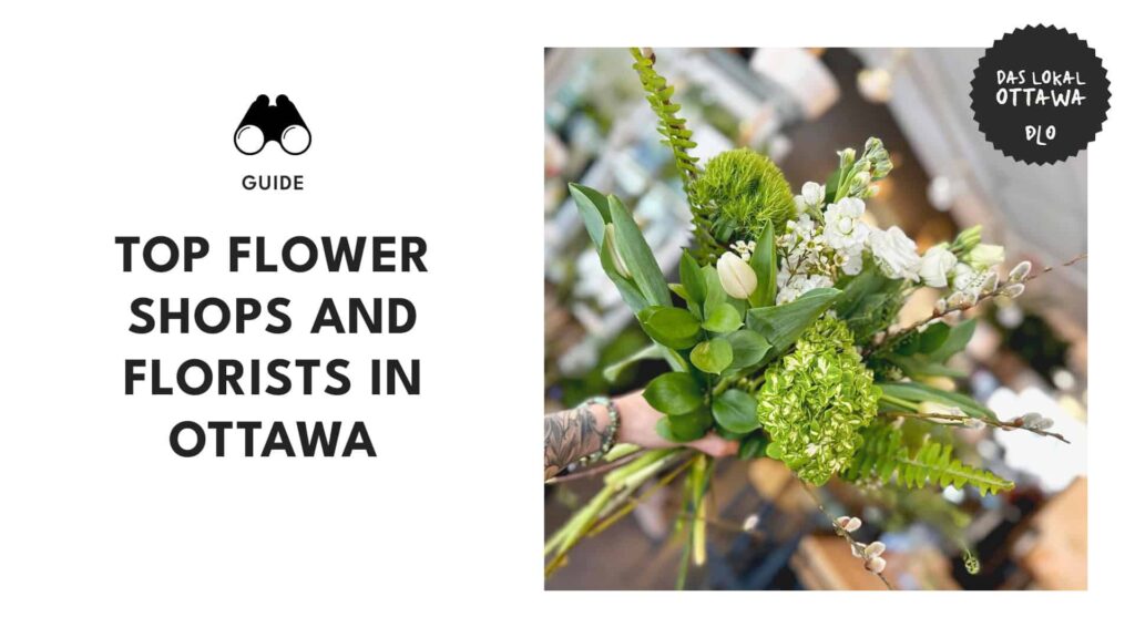 14 Activities During Spring in Ottawa You’ll Love! [2026]