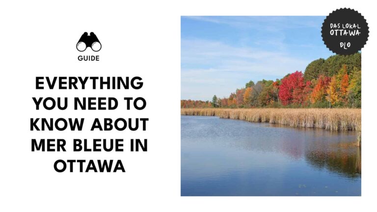 What You MUST Know When Visiting the Mer Bleue in Ottawa [2026]