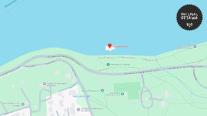 Dive Into Fun Smoothly with Our NCC River House Guide