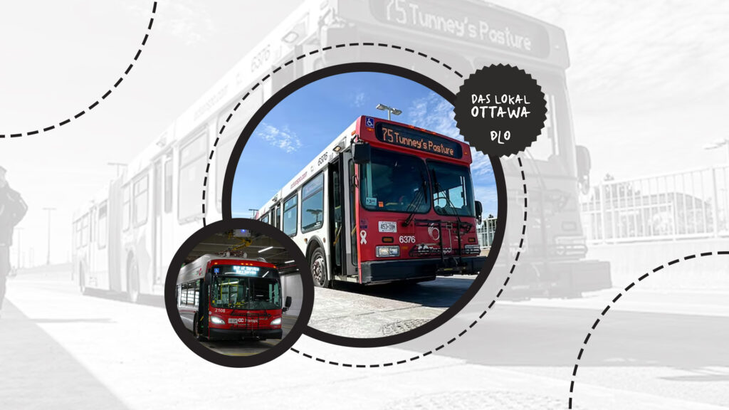 A Complete Craig Henry Ottawa Neighbourhood Guide [+FAQS!] [2026]