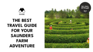 A Guide to Saunders Farm for a Fun Family Day Out