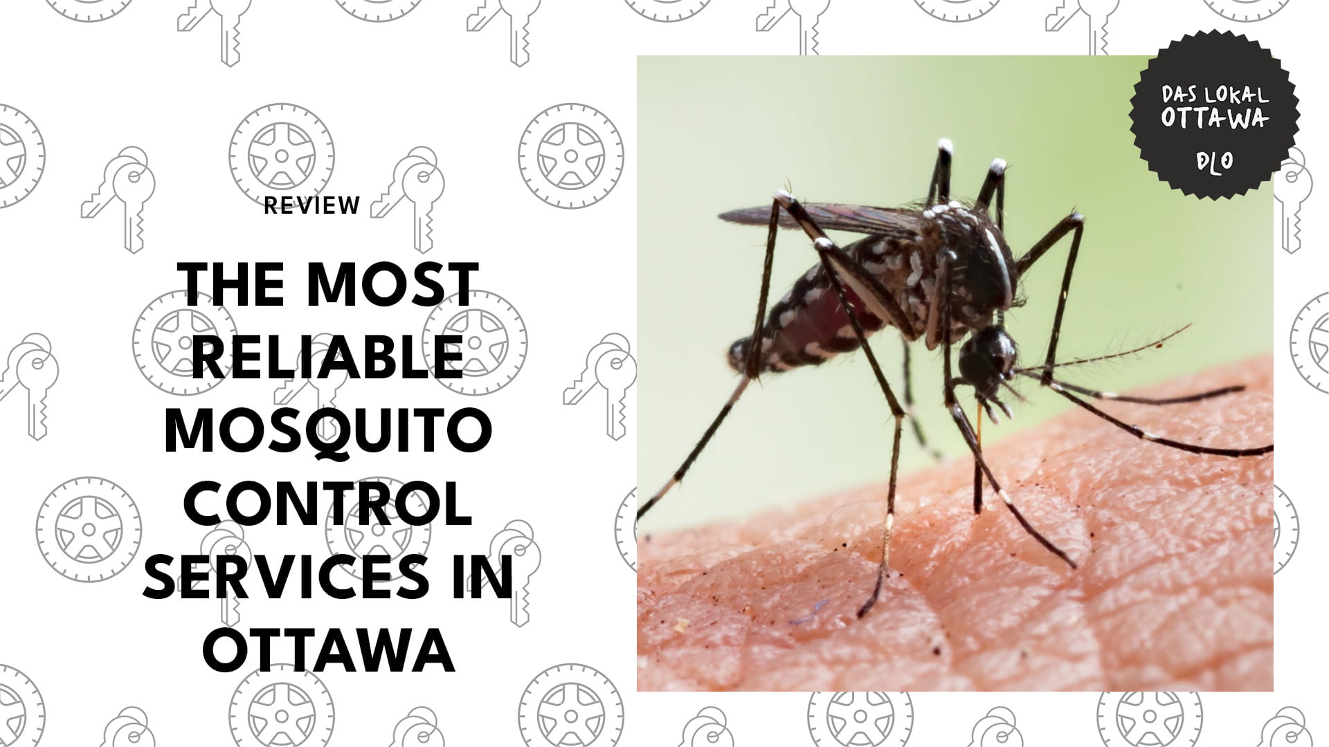 Ottawa’s 5 Mosquito Control Services You NEED to Hire [2026 ]